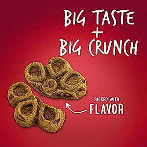 Fruitables Biggies Dog Biscuits – Crunchy Dog Biscuits Made with Pumpkin – Healthy Dog Treats Packed with Real Fruit Flavor – Free of Wheat, Corn and Soy – Crispy Bacon & Apple – 16 oz