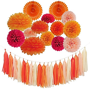 Envibe Orange Party Decorations, Tissue Paper Pom Poms for Bridal Shower Decorations, Baby Shower, Wedding Shower Decorations, Orange Birthday Decorations, 34 Pcs Fall Wedding Decor.