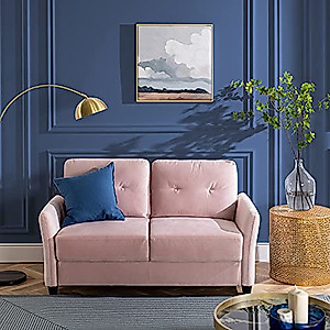 ZINUS Ricardo Velvet Loveseat Sofa, Easy, Tool-Free Assembly, Blush Velvet