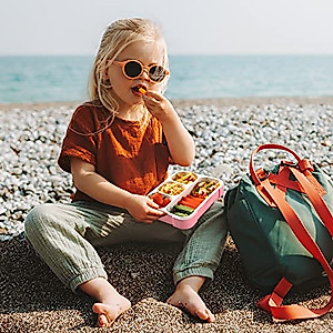 HIWARE Bento Lunch Box for Kids and Adults, Leakproof Lunch Container for Girls, Women with 4 Compartments, BPA-Free, 2 Pack