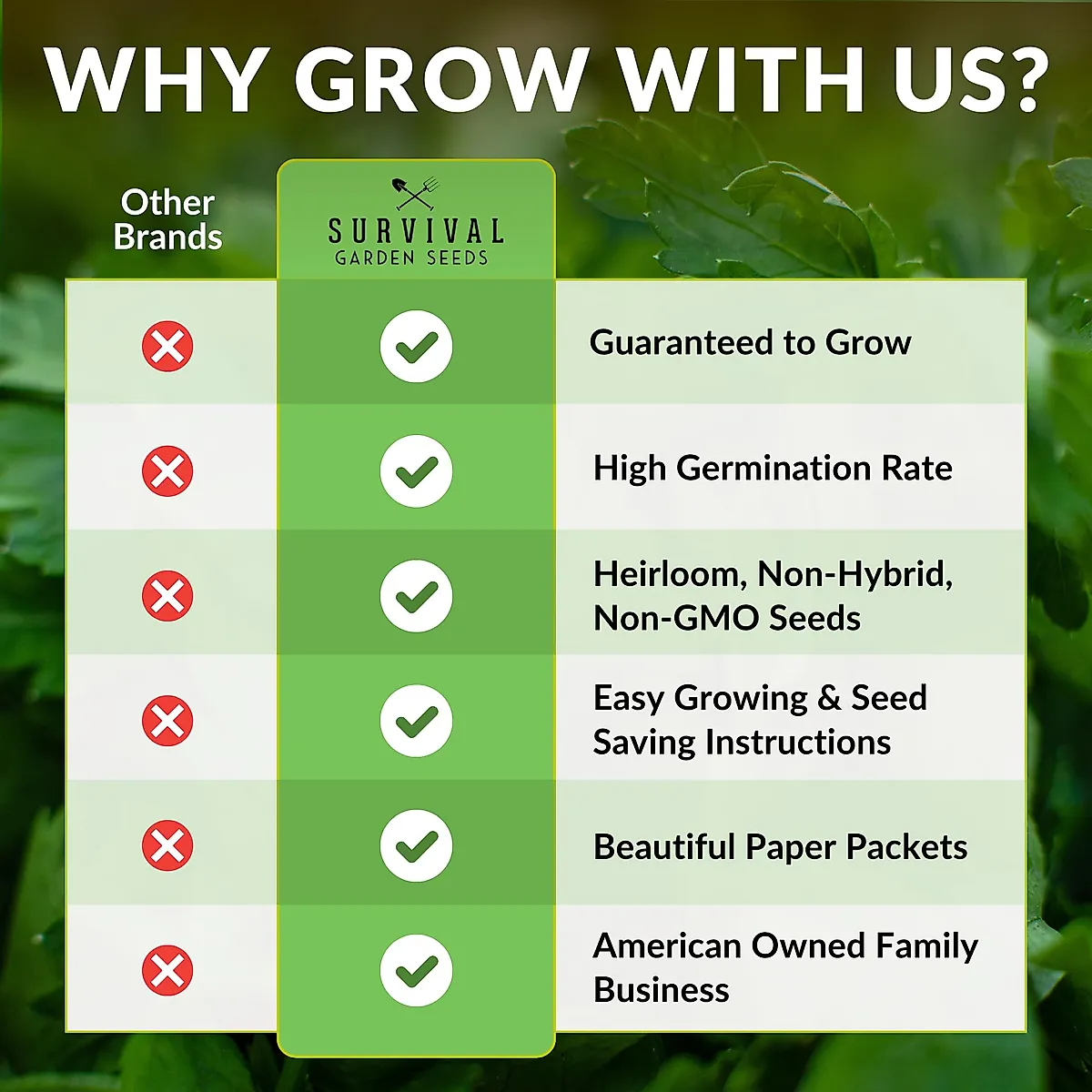 Survival Garden Seeds Zucchini & Squash Collection Seed Vault - Non-GMO Heirloom Seeds for Planting Vegetables - Assortment of Golden, Round, Grey, Black Beauty Zucchinis, Straight Neck Summer Squash