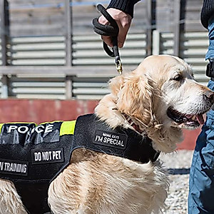 10 Pieces Service Dog Patches Ask to Do Not Pet Patch Vest Removable Tactical Pet in Training Hook and Loop Harness American Flag Patch Set (Delicate Style)