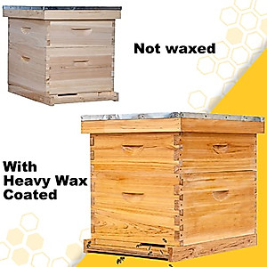 POLLIBEE 10 Frame Beehive Starter Kit, Beeswax Coated Bee Hives Includes 1 Deep Bee Boxes and 1 Bee Hive Super with Beehive Frames and Beeswax Foundation