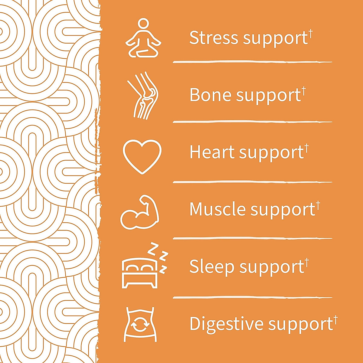 Garden of Life, Dr Formulated 400mg Magnesium Citrate Supplement with Prebiotics & Probiotics for Stress, Sleep & Recovery – Vegan, Gluten Free, Kosher, Non-GMO, No Added Sugars – 60 Peach Gummies