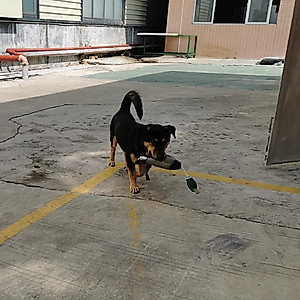 YardGo Duck Dog Toy, Training Dummy Retrieving Dog Toy, Duck Rope Toy, Duck Bumper Retriever, Pheasant Dog Toy, Dog Training Toy for Small, Medium and Large Dogs