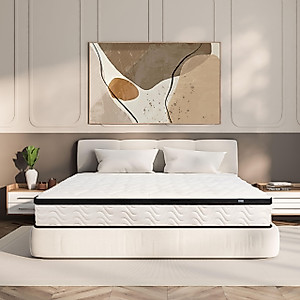 MOLBIUS Queen Mattress | 10 Inch Queen Size Hybrid Mattresses in a Box | Plush Soft Memory Foam and Individual Pocket Springs | Fiberglass Free Bed Matress | Breathable, CertiPUR-US