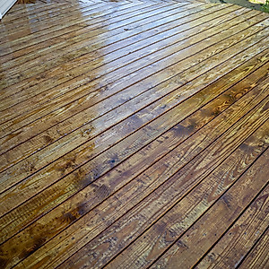 Defy Wood Brightener 1 Gallon