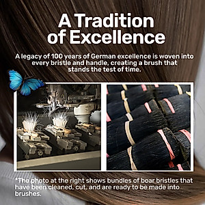 100% Pure Calcutta Boar Bristle Hairbrush for Natural Healthy Hair, Stiff Bristle, Made in Germany's Black Forest