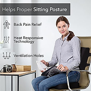 Everlasting Comfort Seat Cushion and Lumbar Support Pillow Combo - Chair Pads Reduce Tailbone Pressure and Improve Back Comfort - Gel Infused Memory Foam Chair Cushions for Home, Car, Travel