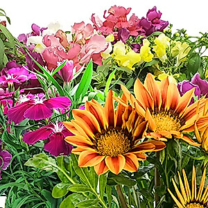 AeroGarden Mountain Meadows Flower Seed Pod Kit (9-pod), Pink/Yellow