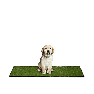 Garland Rug Puppy Pee Pad Artificial Grass Turf Rug, 24 in x 48 in, Green