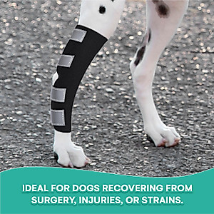 Dog Rear Leg Braces - Braces for Back Legs - Medium-Sized Dog Ankle and Small Dog Knee - Leg Sleeve, Hock and Ankle Support - Joint Wrap Compression Brace for ACL Tear - Canine Broken Leg Protector -