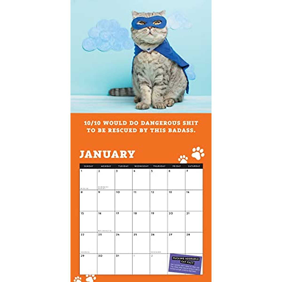 2023 Too F*cking Cute Cats Wall Calendar: A Year of D*mn Adorable Kitties (Funny Monthly Calendar & White Elephant Gag Gift for Cat Lovers)