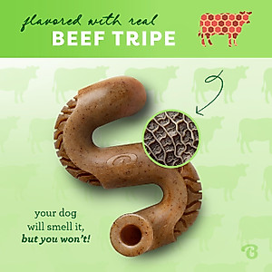 Benebone 2-Pack Wishbone/Dental Durable Dog Chew Toys & Tripe Bone Durable Dog Chew Toy for Aggressive Chewers, Real Tripe, Made in USA, Medium