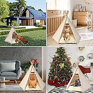 OASTLÉ Dog & Cat Teepee, Small to Medium Pet Teepee Bed with Thick Plush Pad, 27 Inch Tall, Cat Teepee and Dog Tent Bed for Pets Up to 20lbs