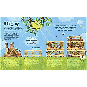 The Book of Brilliant Bugs (The Magic and Mystery of the Natural World)