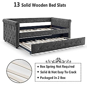 Antetek Daybed with Trundle, Fabric Upholstered Twin Size Day Bed Button-Tufted Sofa Daybed Frame w/Twin Roll-Out Trundle, No Box Spring Needed, Furniture for Bedroom, Living Room, Guest Room, Grey