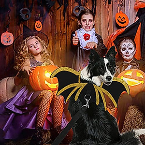 Halloween Dog Costume Pet Bat Wings Funny Cosplay Apparel Puppy Costumes for Medium Large Dogs Outfit, Adjustable Bat Wing with Dog Leash and Pumpkin Bells (Black, Under 80 pounds)