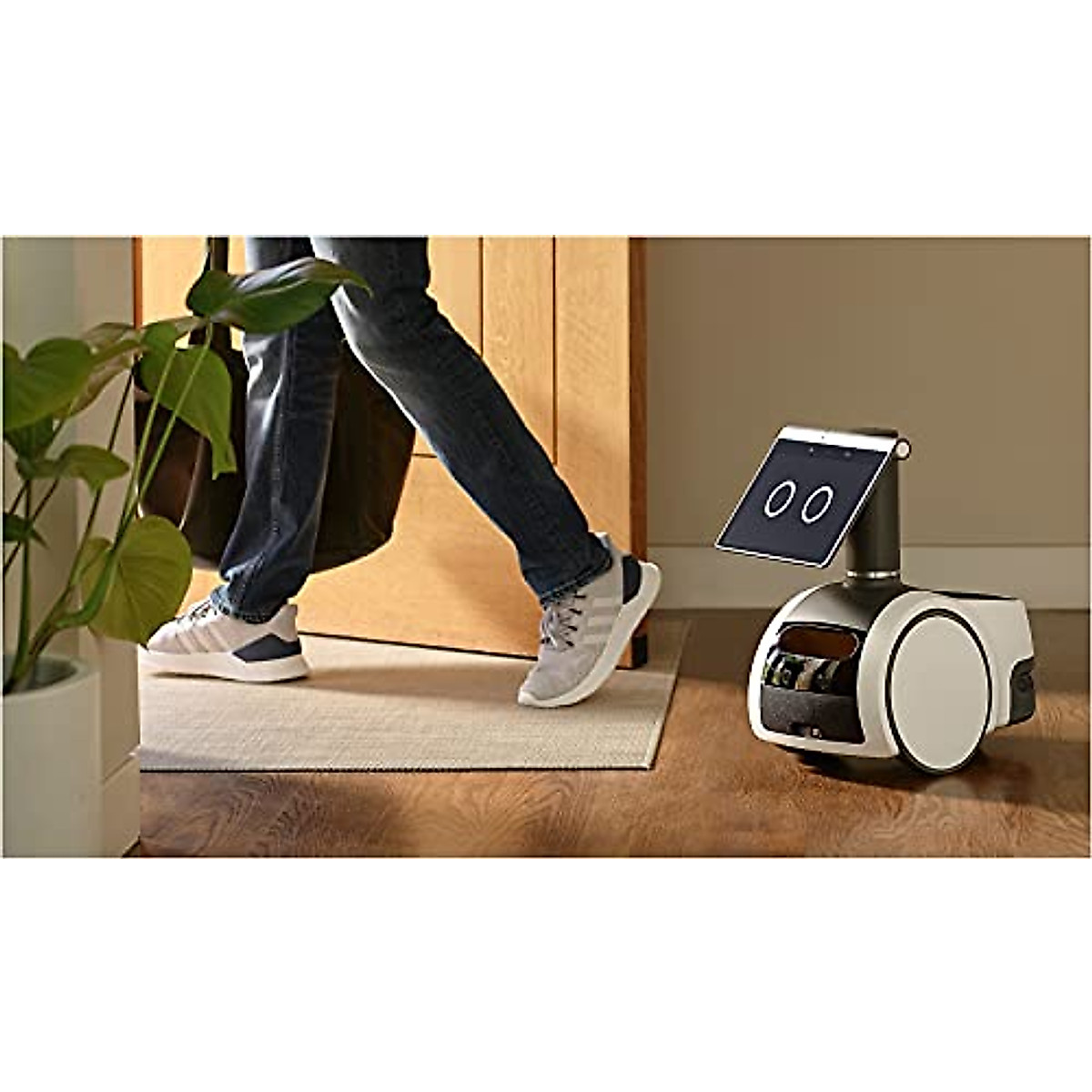 Introducing Amazon Astro, Household robot for home monitoring, with Alexa, Includes 30-day trial of Ring Protect Pro