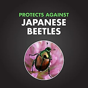 Spectracide Bag-A-Bug Japanese Beetle Trap, Dual Lure System