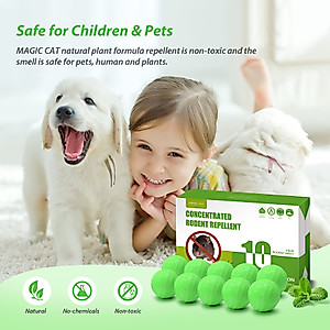 MAGIC CAT Rodent Repellent, 10 Pack Natural Peppermint Oil Pet Safe to Repel Mice and Rats, Mouse Away Repellent for Car Engine RV Closet Truck Garage Cabinet Corridor Indoor Outdoor Rodent Control