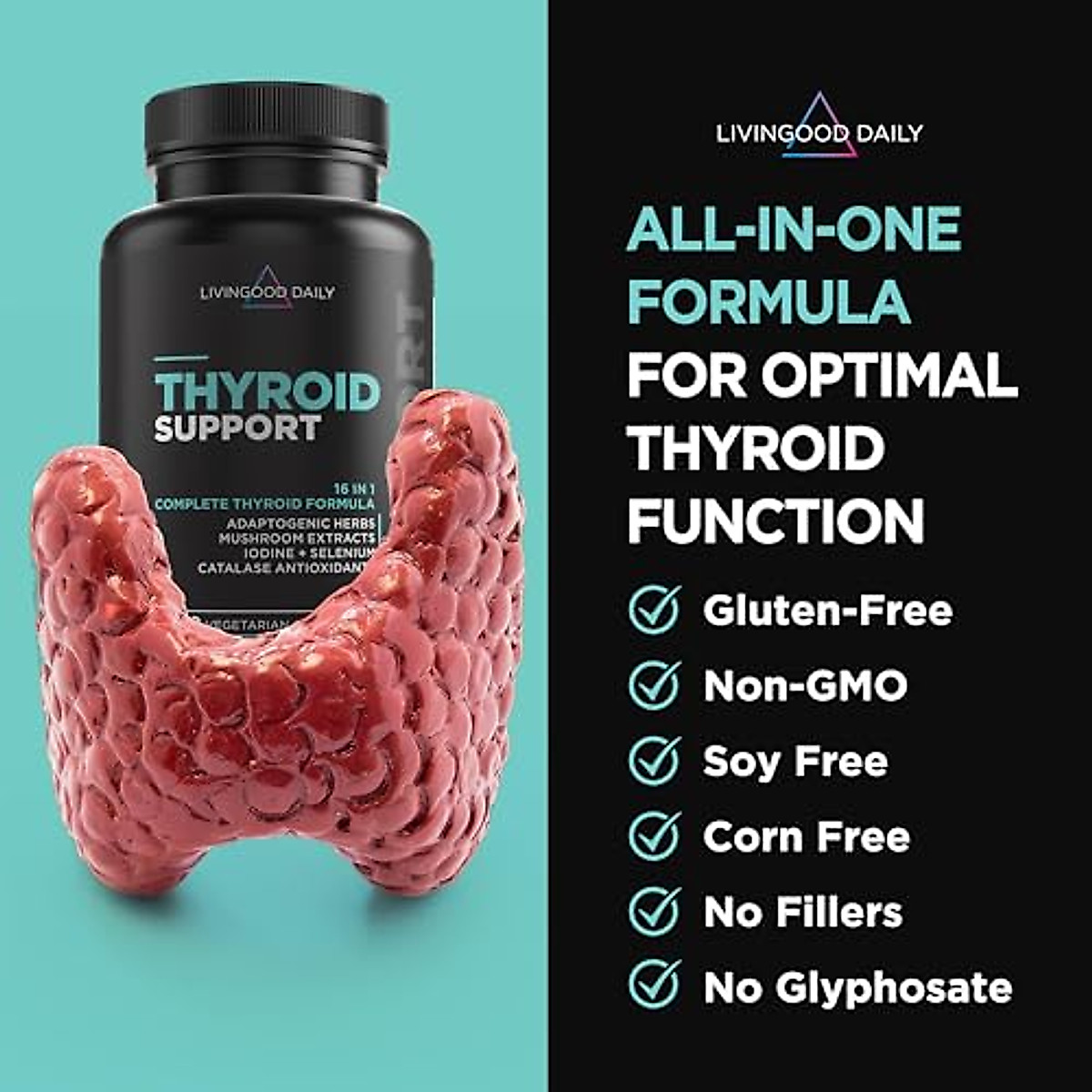 Livingood Daily Thyroid Support - Premium Supplement with Ashwagandha, Selenium, Iodine (from Kelp & Fronds), Zinc, L-Tyrosine, Copper, and Cordyceps - Focus, Metabolism, and Energy - 60 Capsules
