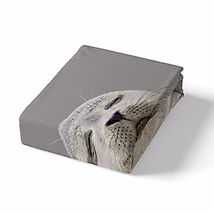 Homewish Seal Bedding Set 3pcs for Kids Boys Teens Sea Animal Theme Comforter Cover Underwater Marine Sealife Duvet Cover Set Microfiber Bedspread Cover with 2 Pillow Cases(No Comforter) Queen Size