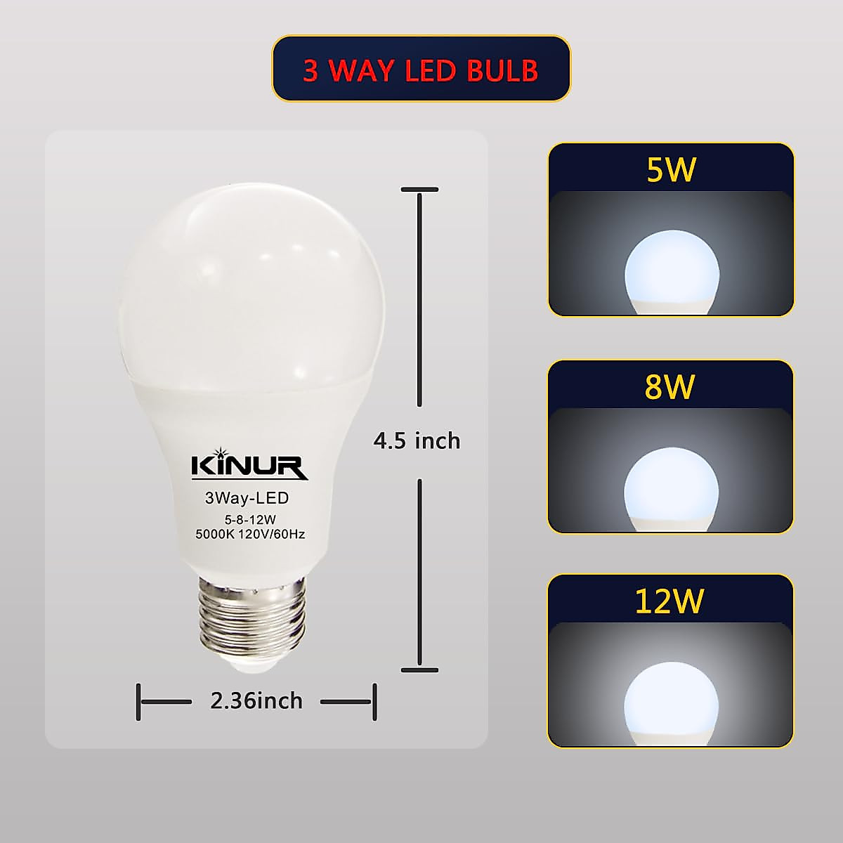 KINUR LED 3 Way Light Bulbs 30 70 100 watt Equivalent Daylight 5000K Daylight A19 Light Bulbs E26 Base Indoor 3-Way Light Bulbs 500lm-800lm-1200lm for Reading 2 Pack
