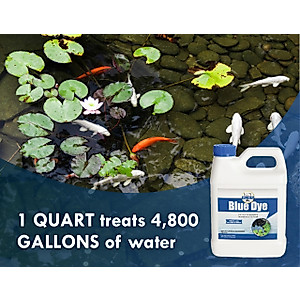Sanco Industries KoiWorx Blue Dye - Ornamental and Decorative Pond Dye, Water Features and Fountains, Safe for Koi - 1 Quart
