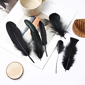 Larryhot Black Craft Feathers Bulk - 240pcs 6 Style Mixed Natural Feathers for Wedding Home Party, Dream Catcher Supplies and DIY Crafts (Black)