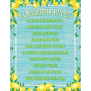 Teacher Created Resources Lemon Zest Classroom Rules Chart