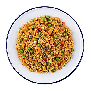 Mountain House Chicken Teriyaki with Rice | Freeze Dried Backpacking & Camping Food | 2 Servings | Gluten-Free