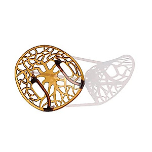 Compamia Crystal Polycarbonate Patio Dining Chair in Amber (Set of 2)