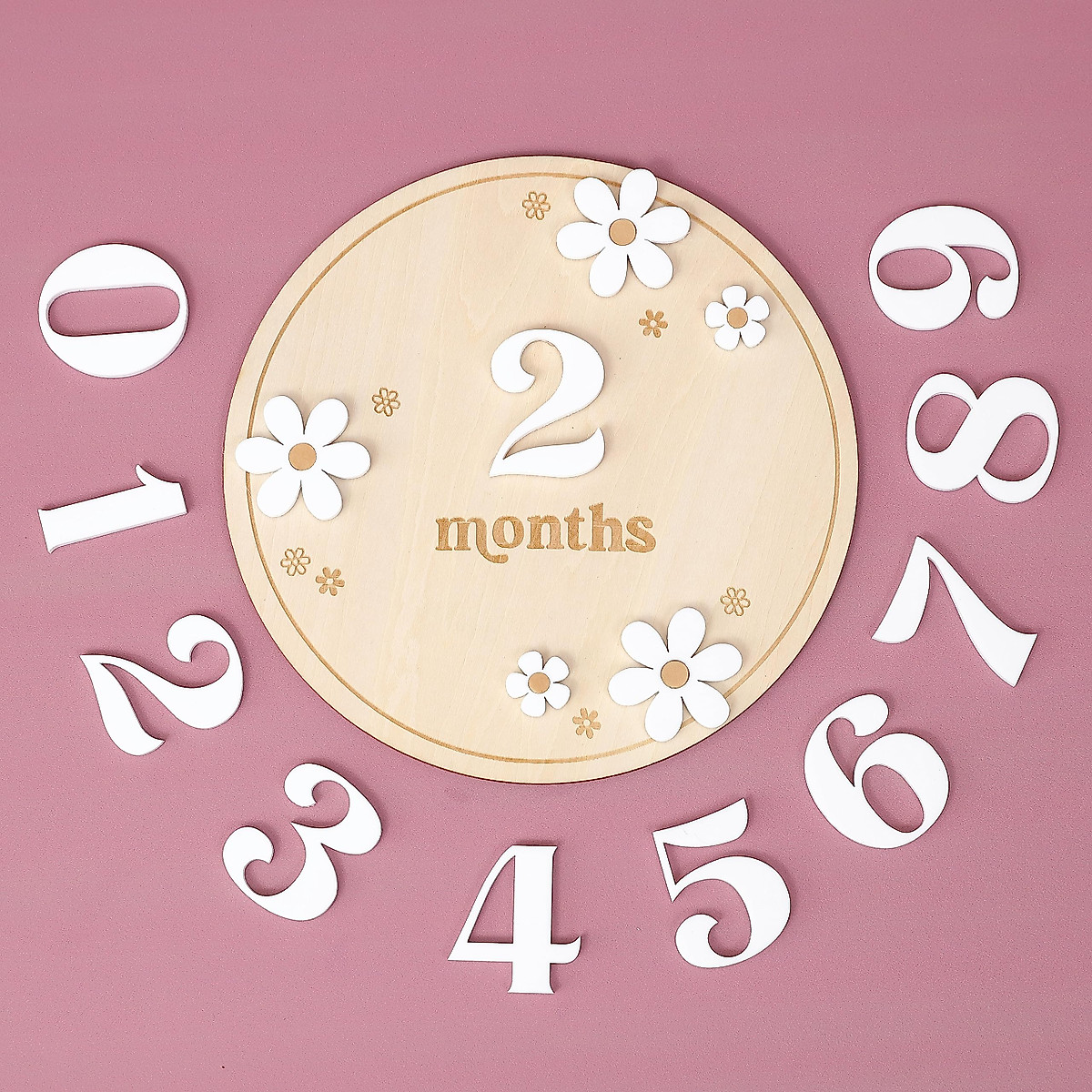 Wooden Boho Daisy Flower Milestone Cards - 1-12 Months Interchangeable Milestone Card Decor,Baby Party Photo Prop，Full Moon Background Decoration Props. (2-12 Months Daisy Flower Milestone Cards)