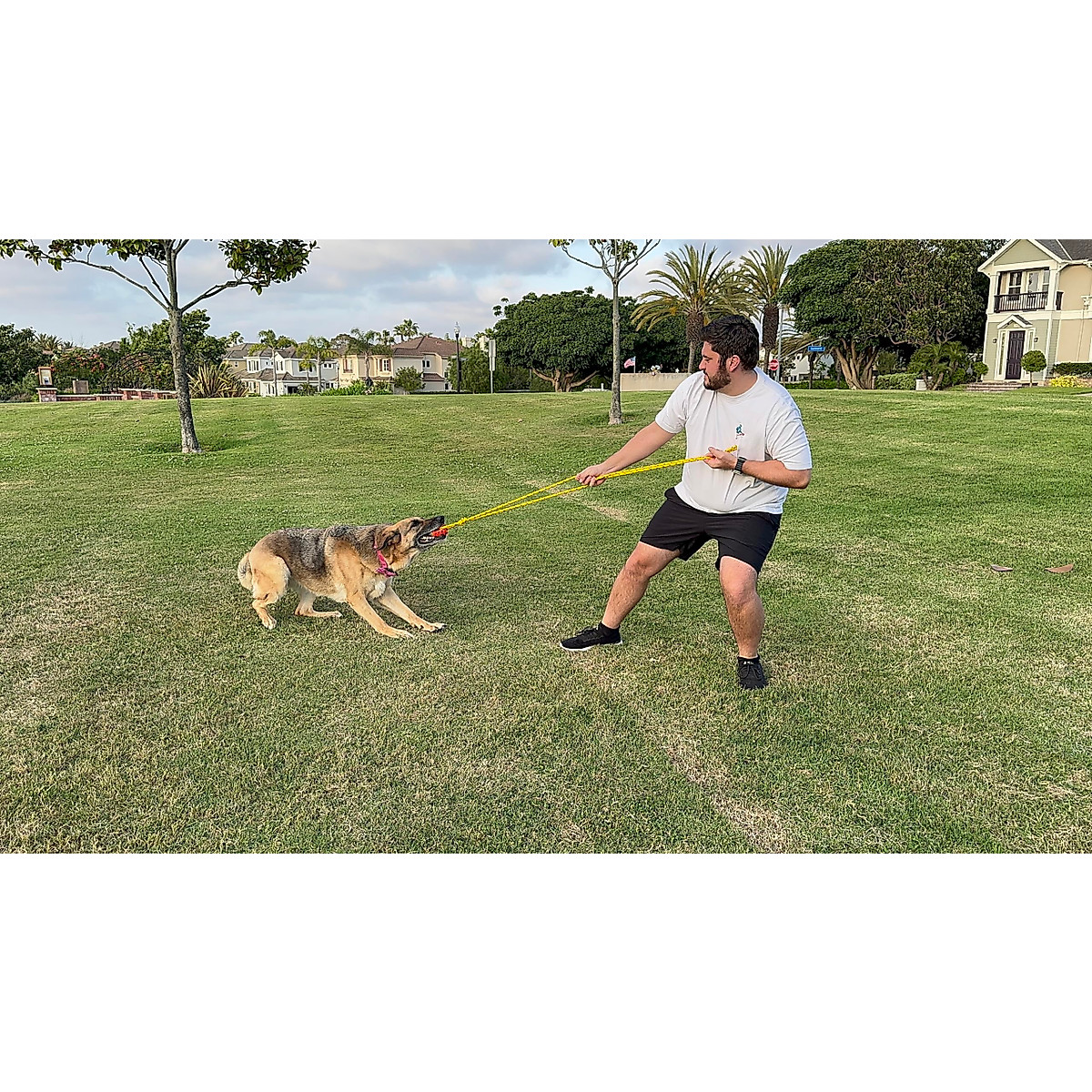 Runball Dog Rope Toy with Ball for Tug of War, Training, Fetch, Interactive Pull Toy, Teeth Cleaning Ball for Medium and Large Dogs, 10 Foot Rope and 2.75 Inch Ball