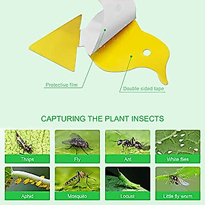 48 Pcs Sticky Traps for Fruit Fly, Whitefly, Fungus Gnat, Mosquito and Bug, Yellow Plant Sticky Insect Catcher Traps for Indoor/Outdoor/Kitchen, Non-Toxic and Odorless
