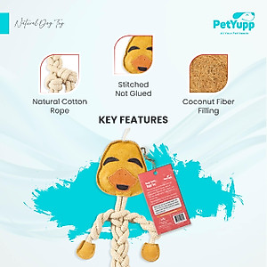 PetYupp Natural Cotton & Jute with Genuine Leather Rope Dog Chew Toy - 16" Long - Interactive Dog Toy for Teething Puppies, Small, & Medium Size Dogs, Promote Dental Health (Donny Ducky)