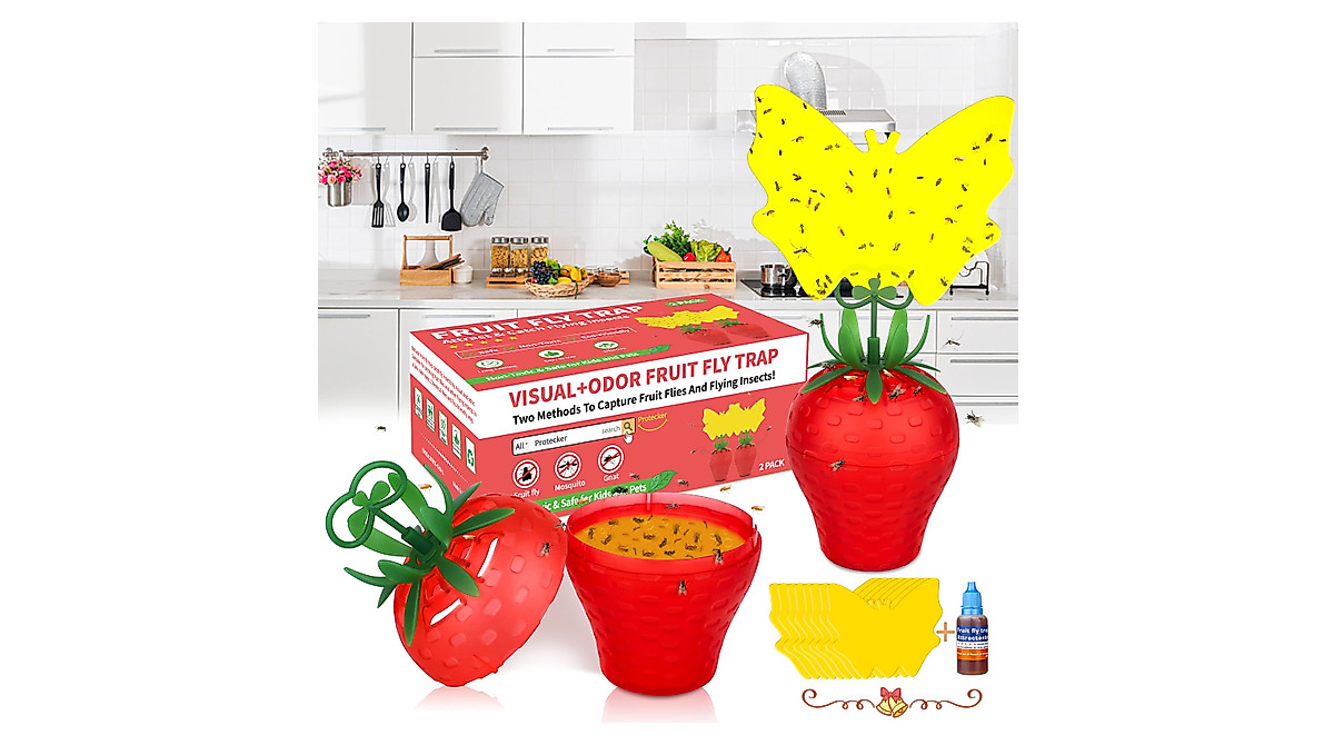 Fruit Fly Trap for Indoors,Effective Fruit Fly Killer Catcher Gnat Trap ...