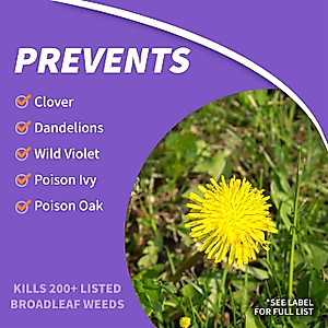 Bonide Weed Beater Ultra, 32 oz Concentrate Fast-Acting Protection Against Broadleaf Weeds in Warm & Cool Weather