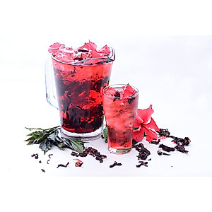 Walters Bay Raspberry Hibiscus Herbal Iced Tea, 12 Count, Quart Sized Tea Bags, Unsweetened, Raspberry Flavored, Herbal Iced Tea, No Caffeine