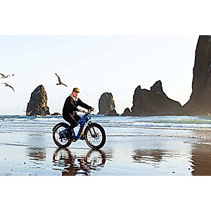 OKAI Ranger 4" Fat Tire E-Bike 330lb Capacity BAFANG Rear Hub Motor 48V 750W Shimano 8-Speed Gears 45 Mile Range Custom LED Light Bar LCD Touchscreen TEKTRO Disc Brakes Black