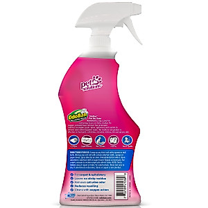 OdoBan Pet Solutions Oxy Stain Remover, Pet Stain Eliminator, 32 Ounce Spray