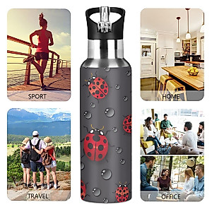 xigua Ladybug Water Bottle Double Walled Stainless Steel Leak Proof Thermo Flask for Sports Gym Cycling Outdoor,20 oz.