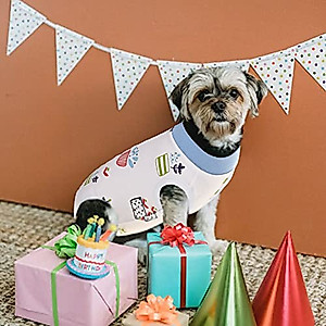 SAWMONG Dog Recovery Suit, Recovery Suit for Dogs After Surgery, Dog Spay Surgical Suit for Female Dogs, Dog Onesie Body Suit for Surgery Male Substitute Dog E-Collar Cone, Plant Blue, X-Large