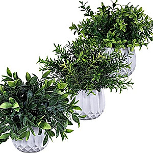 Winlyn 3 Pcs Faux Potted Plants Set - Artificial Eucalyptus, Rosemary, Boxwood Greenery in Small White Geometric Planters for Indoor Outdoor Desk Table Centerpiece Shelf Windowsill Home Office Decor