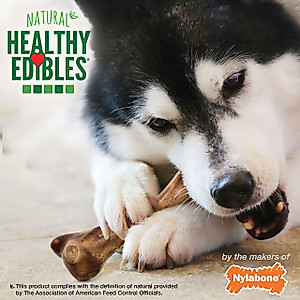 Nylabone Healthy Edibles WILD Natural Long-Lasting Bison Flavor Bone Chew Treats for Dogs, Large (1 Count)