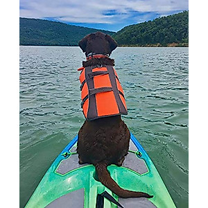 Perception Kayaks Hi Life 11 | Sit on Top Kayak - SUP/Paddleboard | Hybrid Boat with Seat Storage/Cooler | 11' | Sunset, (Model: 9351599042)