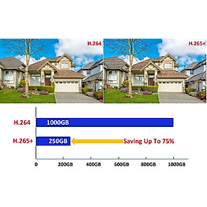 101AV 16CH Security Camera System Hybrid HD H.265/H.264 5in1 DVR/NVR, HD-TVI/CVI/AHD/IP, HDMI/VGA Video Out, Phone APPs for Home & Office, Work w/ 5MP Lite Analog & 8MP Lite IP Camera, 2TB HDD(no PoE)