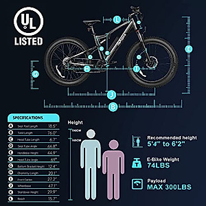 FIOTAS ReAspire Electric Bikes Adult 750W BAFANG Motor Ebike 48V 16Ah Lithium Battery 26'' Fat Tire E Bikes 50 Miles Mountain Snow Beach Electric Bicycle Dual Shock Absorbers Shimano 8-Speed (Black)