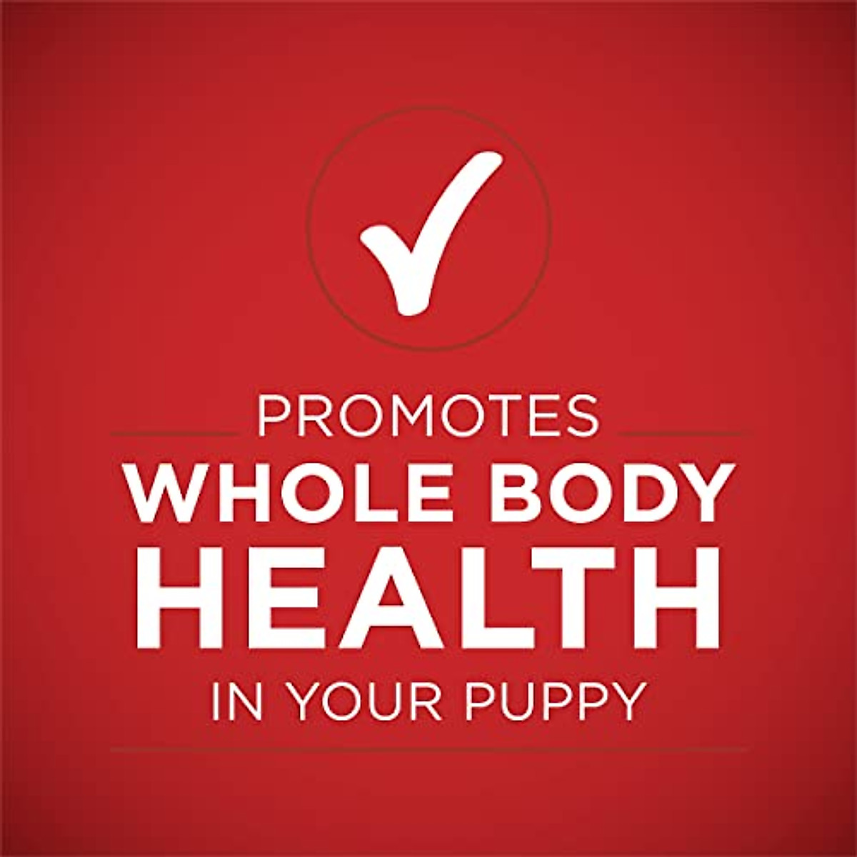 Purina ONE Plus Wet Puppy Food Classic Ground Healthy Puppy Lamb and Long Grain Rice Entree - (Pack of 12) 13 oz. Cans